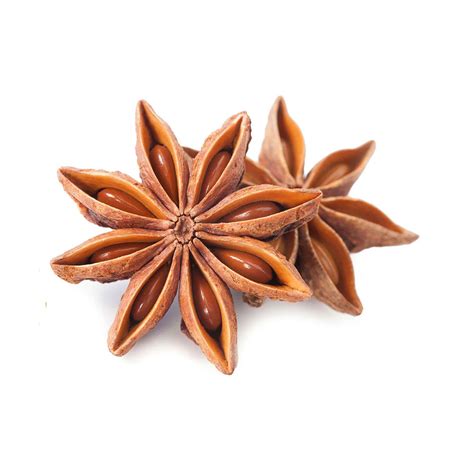 خرید بادیان ستاره ای با بهترین کیفیت استعلام قیمت