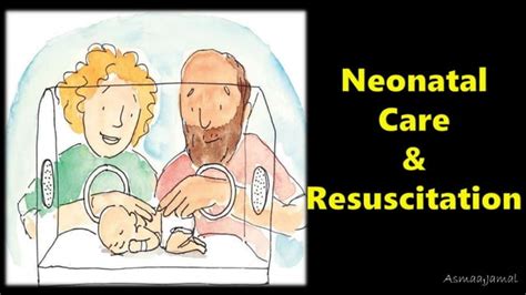 Neonatal Resuscitation And Care Pptx Pregnancy Reproductive Health