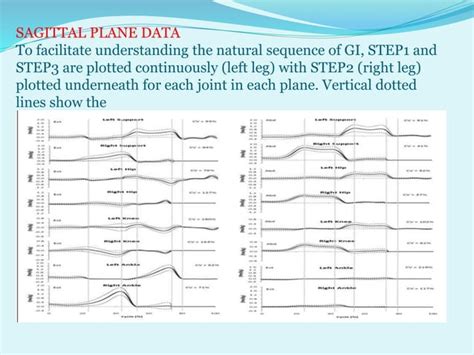 P Pt Final Sagittal Plane Analysis Of Gait Pptx