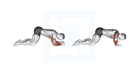 Wrist Extensor Stretch Guide Benefits And Form Wrist Extensor Stretch Guide Benefits And Form