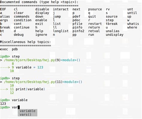 autocomplete variable names in spyder · issue 141 · gotcha ipdb · github
