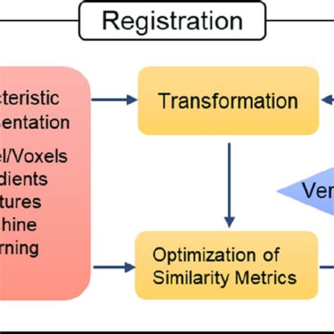 a representative workflow of medical image registration download