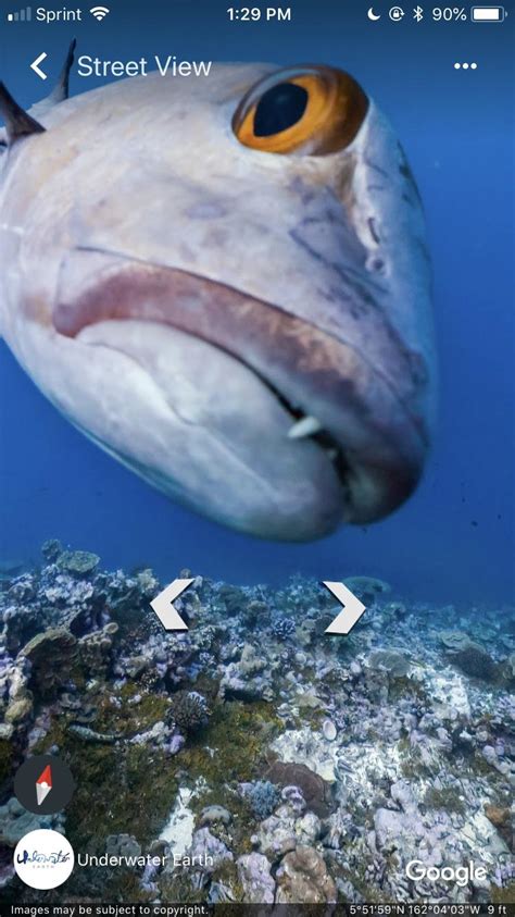 Best Google Earth Images On Pholder Softwaregore