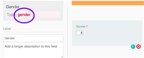 Prepare Custom Form Editing Guide Schoolmint Support