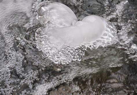 텅 빈 들녘길에서