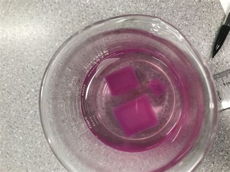 Diffusion In Agar Cubes Lauren S Blog