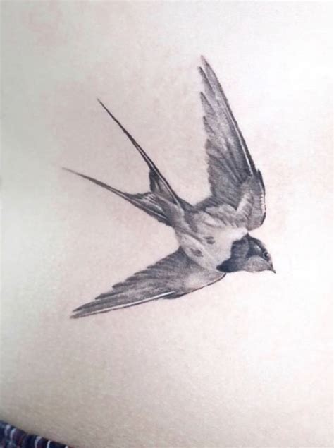 Realistic Swallow Bird Tattoo Swallow Bird Tattoos Realistic Bird