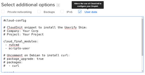 Userdata Fields On Aws Userify Ssh Key Manager