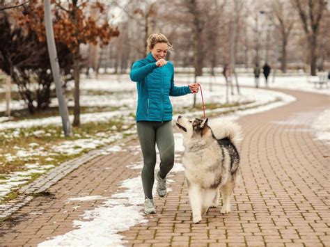 Alen Neo 500 Mg Ml 5 Mg Ml Perorální Kapky Roztok Příbalový Leták Zdraví
