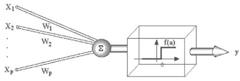 Mcculloch Pitts Neural Networks Schematics Download Scientific Diagram
