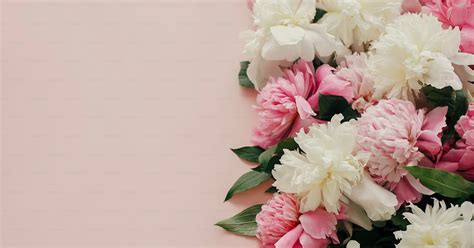 텍스트를 위한 공간이 있는 파스텔 핑크 종이에 분홍색과 흰색 모란 안녕하세요 봄입니다 해피 어머니의 날 꽃 인사말 카드 모형 세계 여성의 날 세련된 소녀 이미지