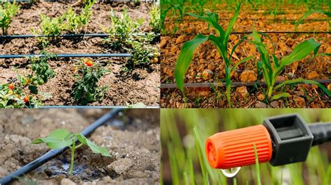 5 Types Of Irrigation Systems Modern Methods Of Irrigation