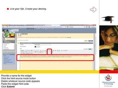 blackboard training embedding a widget ppt