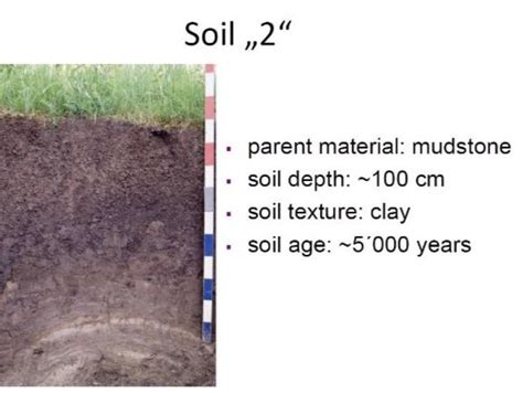 Solved For The Second Part Of This Assignment We Will Chegg Com