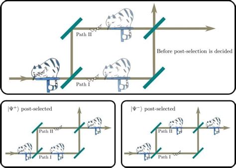 Quantum Causality Emerging In A Delayed Choice Quantum Cheshire Cat