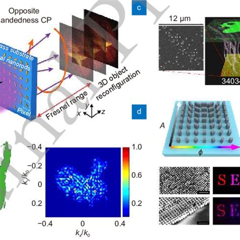 Typical Examples Of Phase Only Meta Holography Amplitude Only Download Scientific Diagram