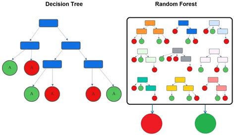 A Guide To Random Forest In Machine Learning Ejable