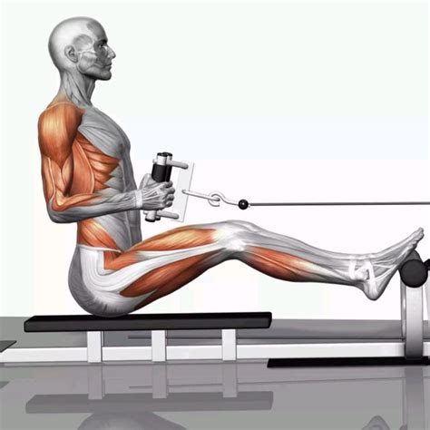 Seated Rows By Richard Terry Jr Exercise How To Skimble