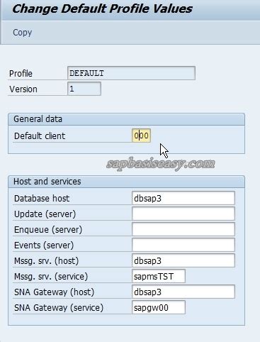 How To Import Maintain SAP System Profile SAP Basis Easy