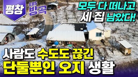 강원 평창 해발 700m 수도도 끊기고 주민들도 모두 떠난 오지에 30년 전 귀농해 단둘이 사는 노부부┃남편의 병을 치료한 산골┃한국기행 방방곡곡 Youtube