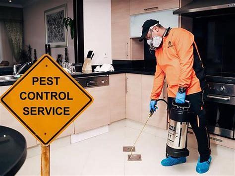 Pro Shield Marks A Decade Of Award Winning Service Proshield Pest