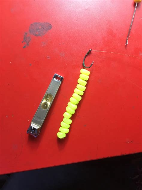 Bigger Bait Bigger Fish Scrolller