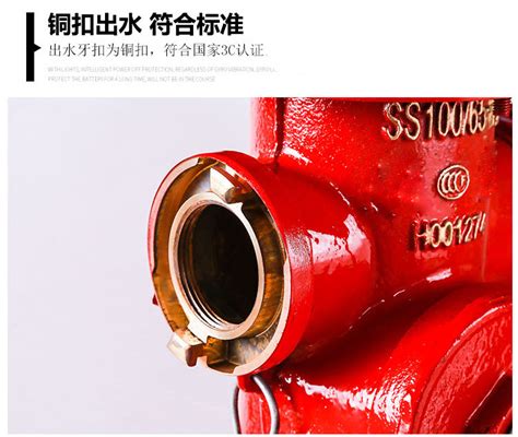 Factory Direct Sales Ss10065 1 6 Fire Hydrant Prosperous Fire
