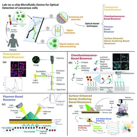 Summary Of Various Microfluidic Spr Sensors Formats Download Scientific Diagram