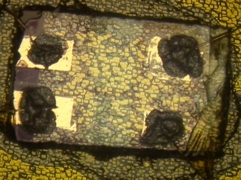The Prepared Samples For I V Curve Measurement Download Scientific Diagram