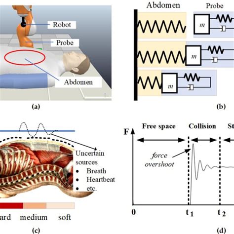 Problem Description A Robot Assisted Ultrasonic Examination System Download Scientific
