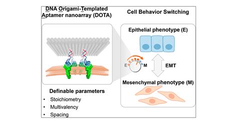 Spatial Organization Means Arranging Details
