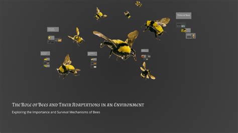 The Role Of Bees And Their Adaptations In An Environment By Alex Morgan On Prezi