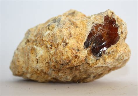 Ambergris New Zealand Whale Ambergris Grey Amber Sperm Whale