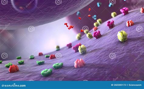 D Illustrationof Neuron Structure And Function Signal In Neurons Stock Illustration