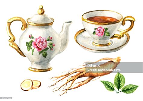 찻주전자 차 한 잔 인삼 세트 흰색 배경에 고립 된 손으로 그린 수채화 그림 0명에 대한 스톡 벡터 아트 및 기타 이미지 0명 건강관리와 의술 건강한 식생활 Istock
