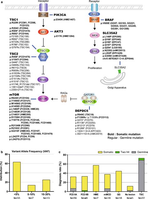Landscape Of Somatic And Germline Mutations Identified In Intractable
