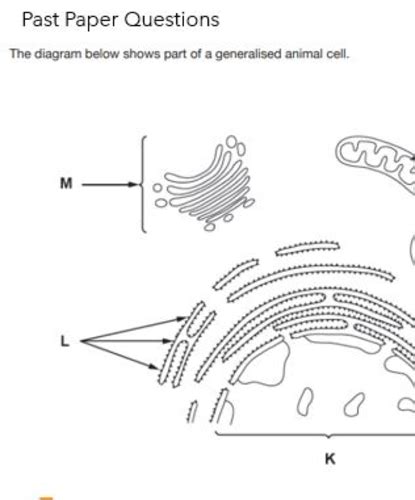 Wjec Eduqas As Biology Unit 1 2 Cell Structure And Organisation Lesson And Activities Teaching