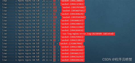 linux服务器磁盘满了排查并解决 linux dev磁盘满 csdn博客