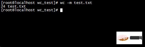 linux中ls l wc linux wc命令有什么用 CSDN博客
