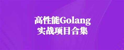 高性能golang实战项目合集 It曙光课堂