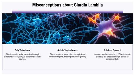 Giardia Lamblia Protozoa Ppt Template Acp Ppt Presentation