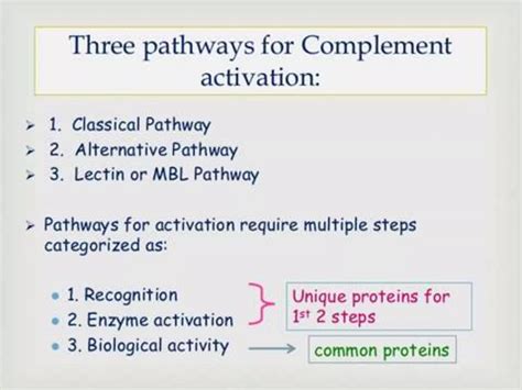 Classical Pathway Of Complement Pptx