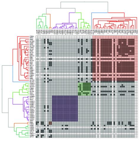6 Reciprocal Sequence Hits Of Intergenic Sequences Of Hepatocystis