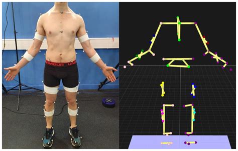 Applications And Limitations Of Current Markerless Motion Capture