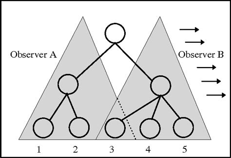 Cephalothrix Simula Semantic Scholar
