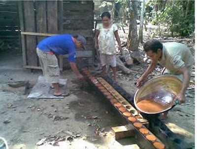 PENGHASIL GULA MERAH KELAPA