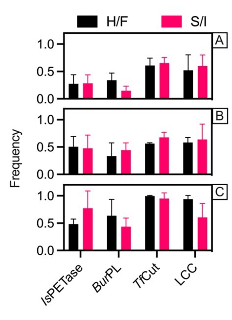 Frequency Of Interactions Between Key Residues Of The Catalytic Triad