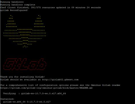 Install Gitlab Container Registry And Configure Cert