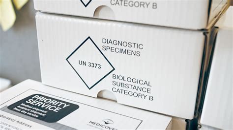 Discover Clinical Laboratory Sample Journey Medicover Mics