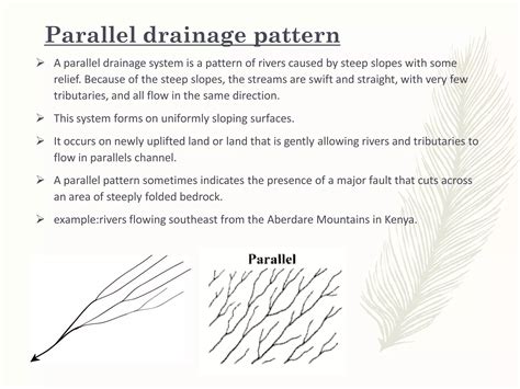 Types Drainage Pattern Presentation Pdf